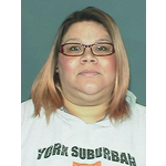 Valley View Staff Directory – York Suburban School District